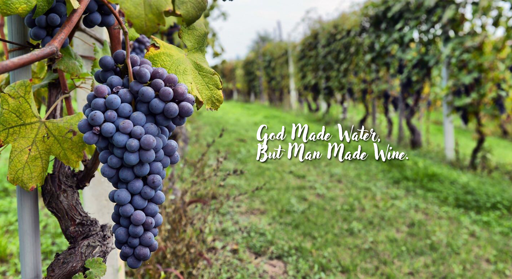Haddingtonwines – Purveyors of Fine Wines, Scottish Craft Ales, Whisky ...